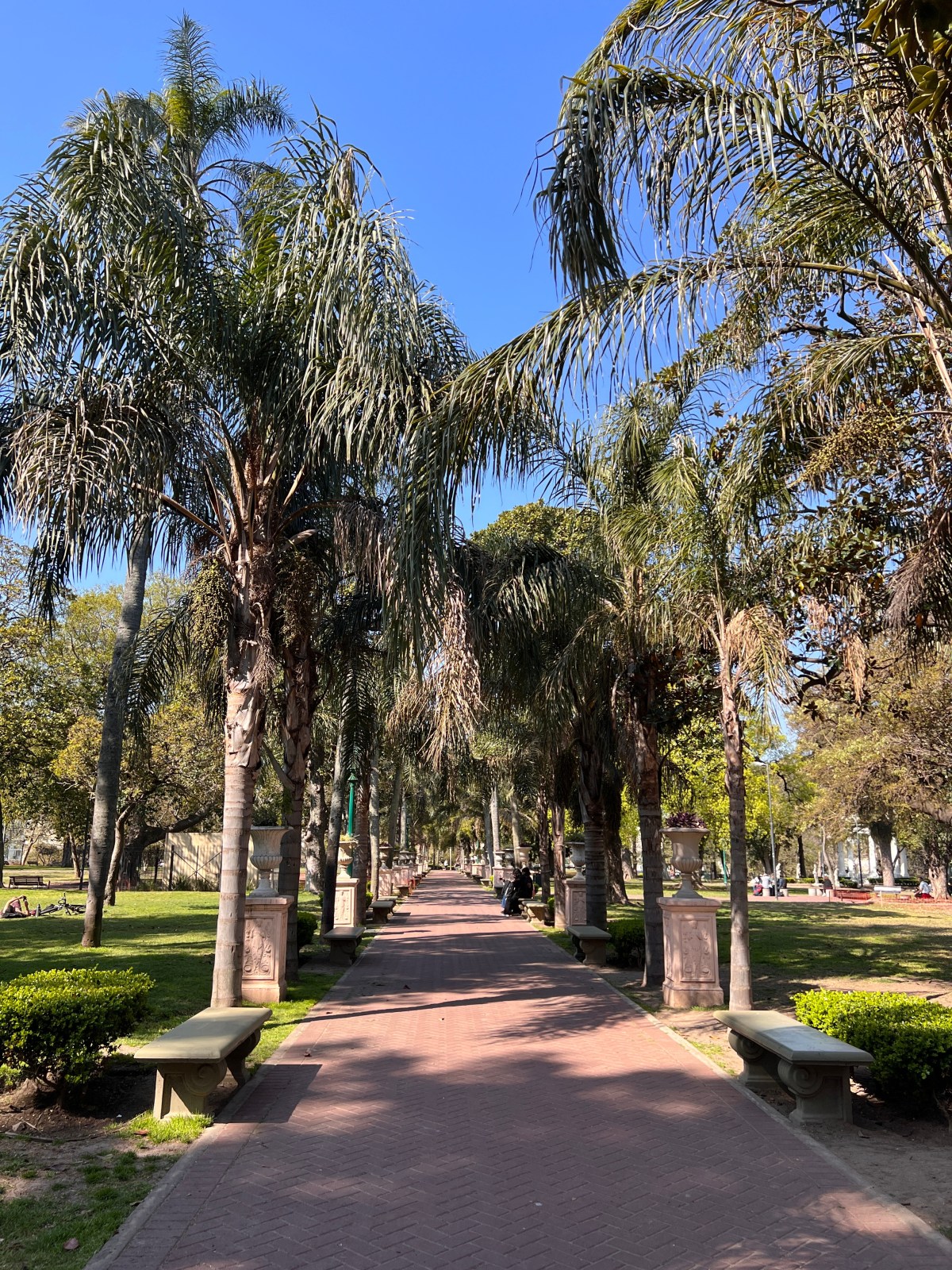 SAN TELMO Buenos Aires | A Guide to the City's Funkiest Neighborhood