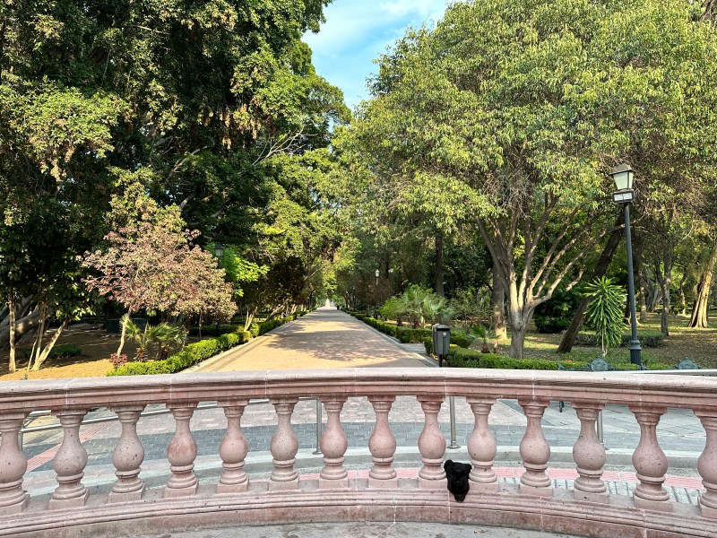 Querétaro Travel Guide: 27 Things to Do and See
