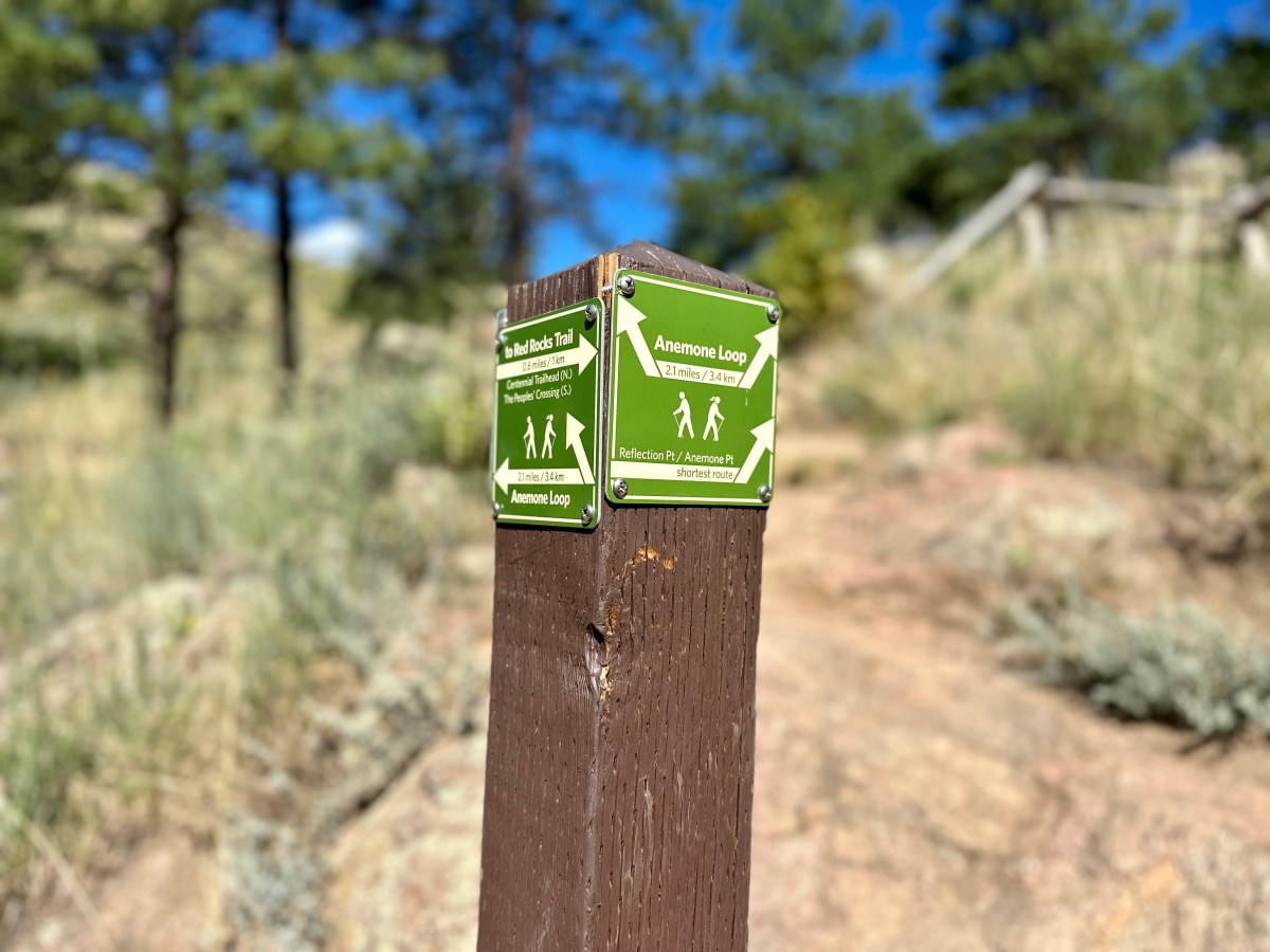 Anemone Loop Trail: Fantastic Hiking Trail in Boulder Colorado