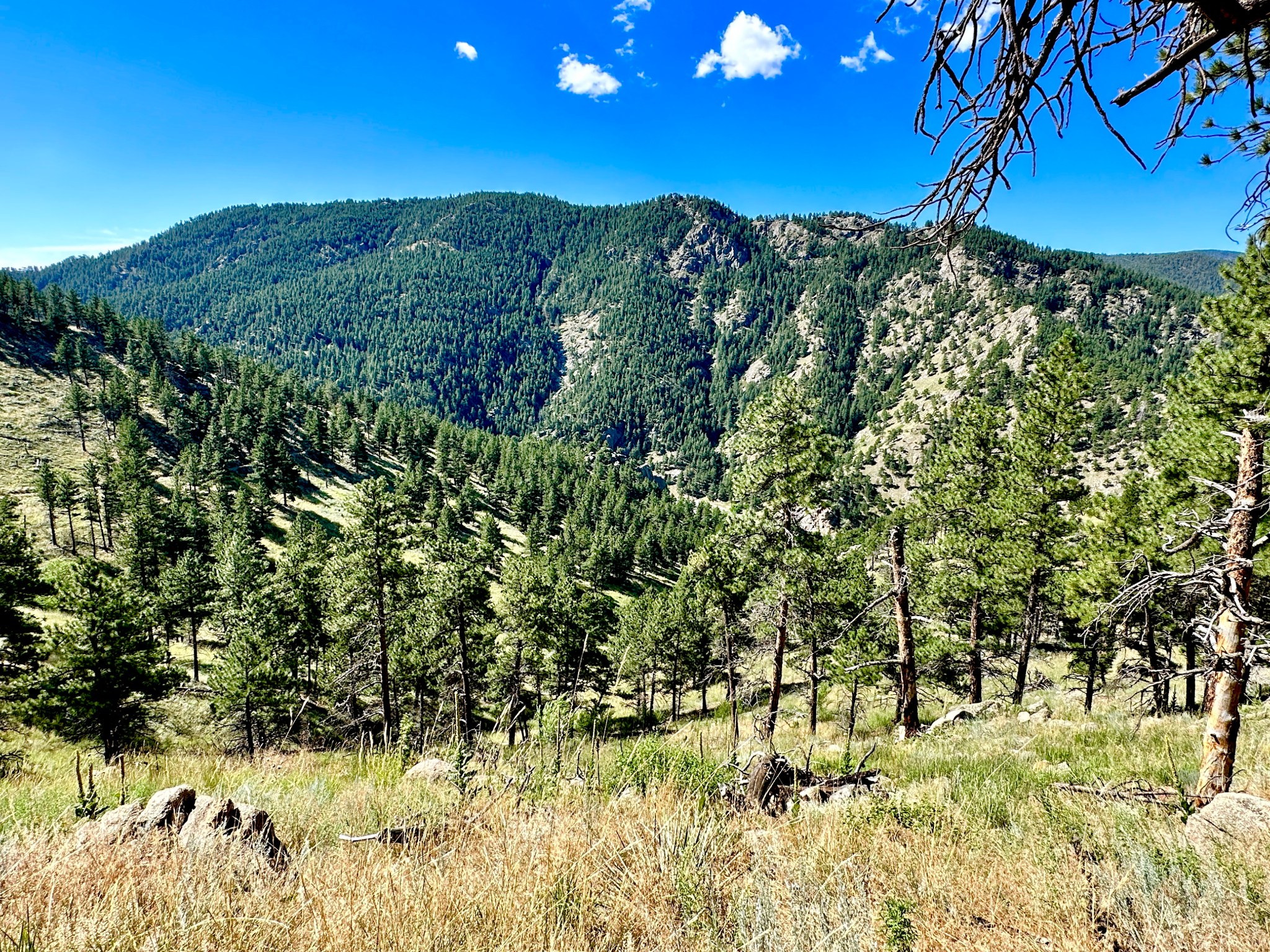 Anemone Loop Trail: Fantastic Hiking Trail in Boulder Colorado